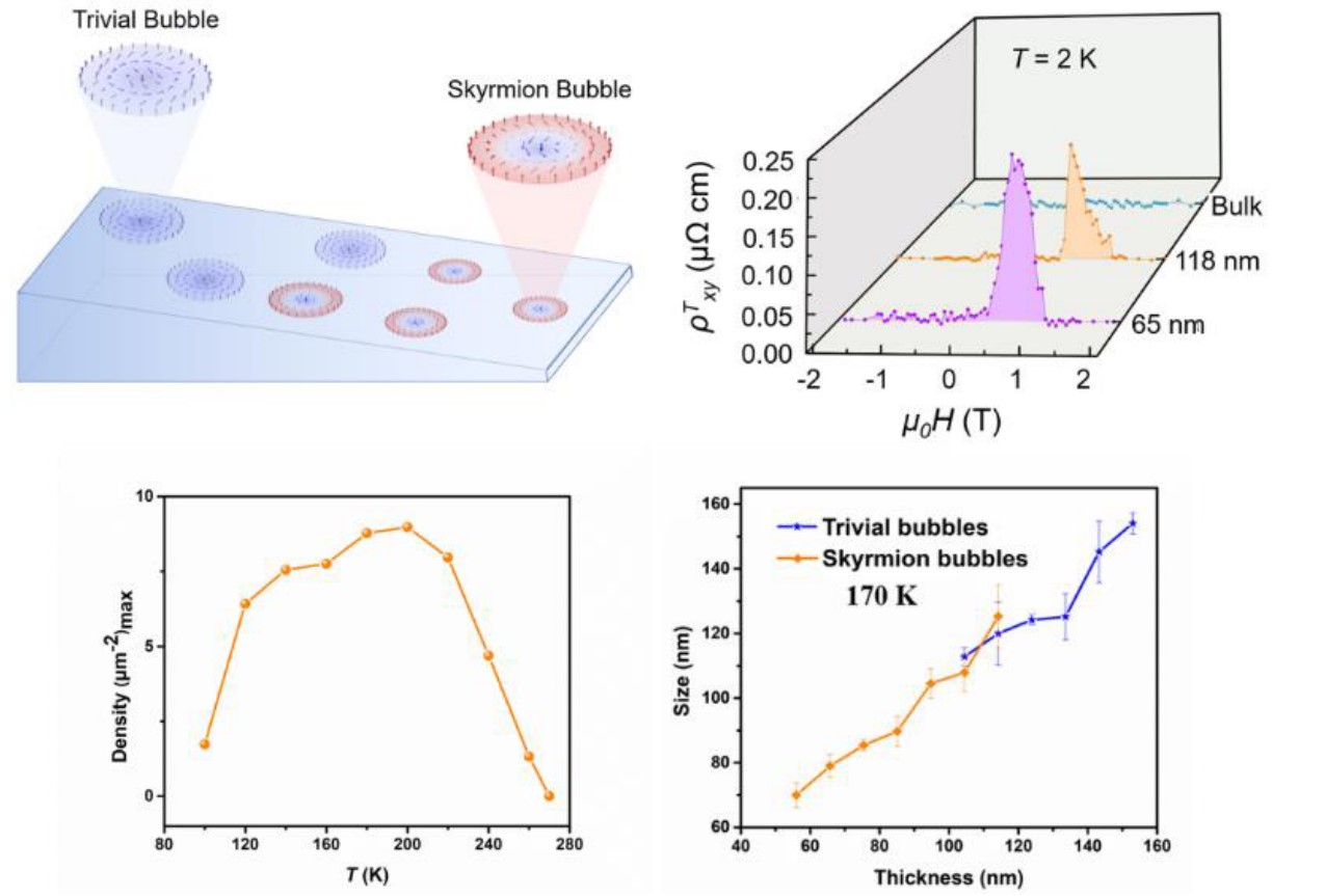 材料基因院曹桂新教授团队与复旦大学合作的研究成果在《Advanced Functional Materials》上发表-上海大学